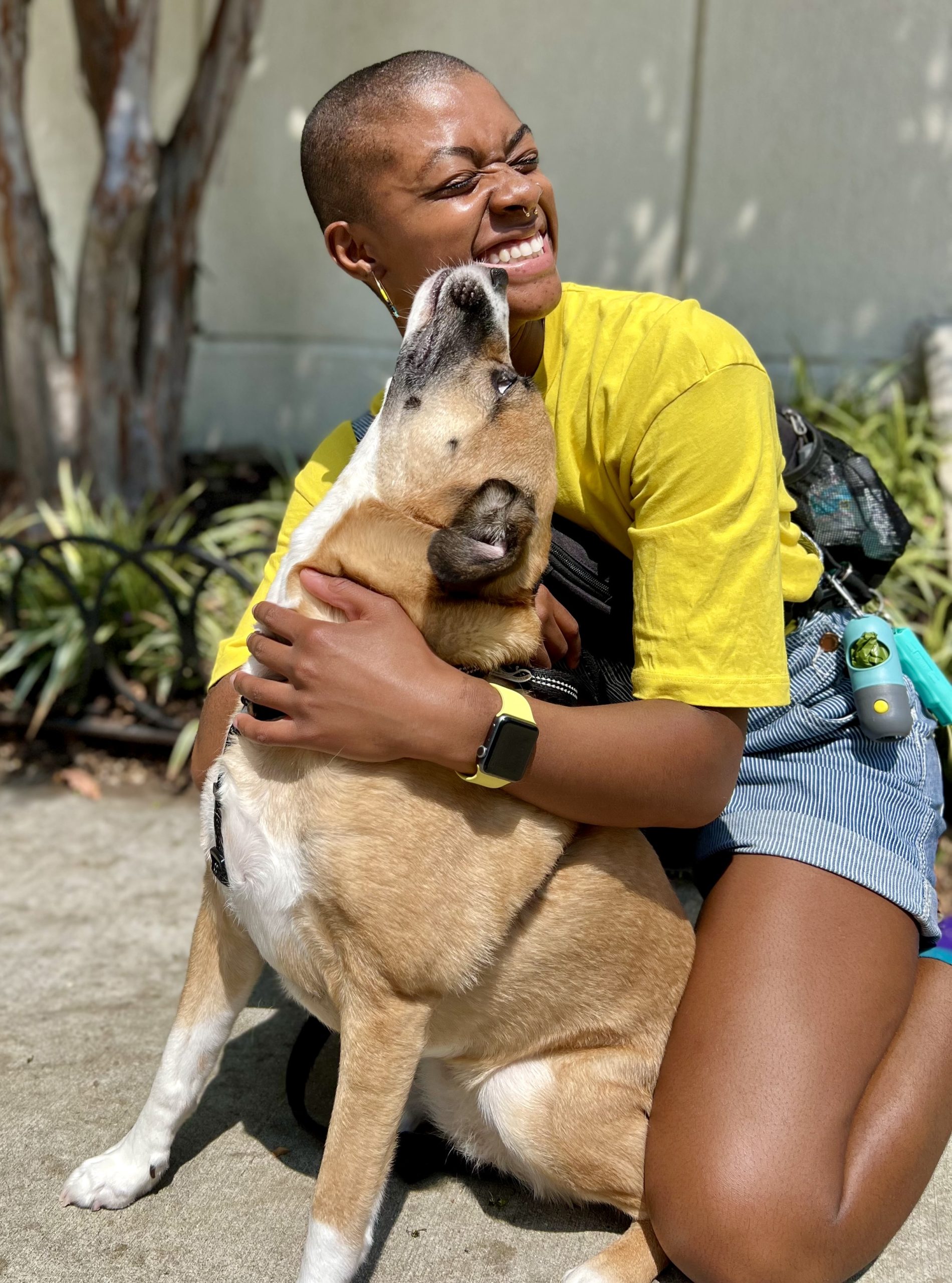 About - Laughing Pets Atlanta | Dog Walking & Pet Sitting